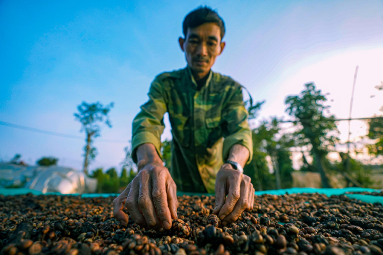 Vietnamese Weasel Coffee: A Complete Guide