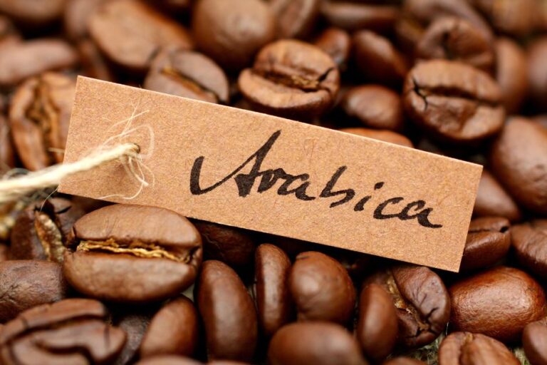 What is Arabica Coffee? Origins, Characteristics, and Classification