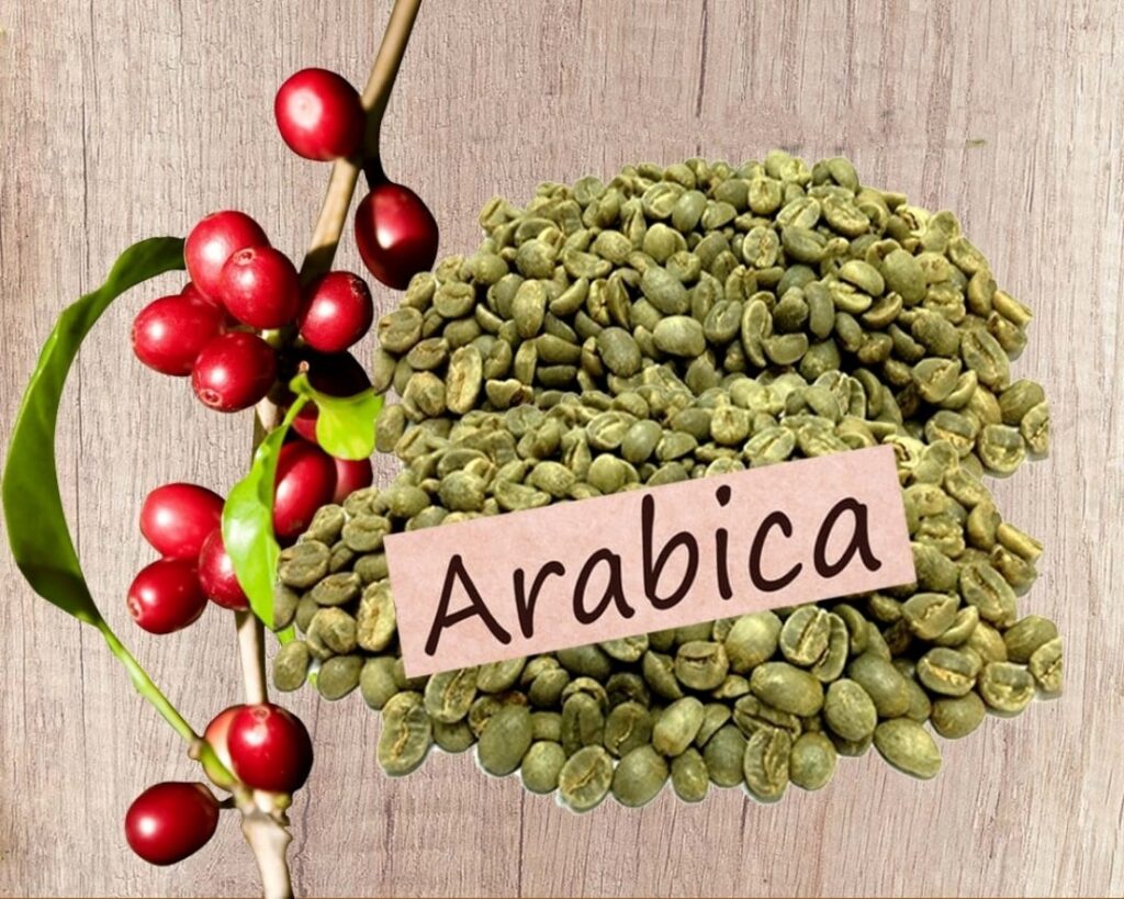 The Best Arabica Coffee Growing Regions in Vietnam
