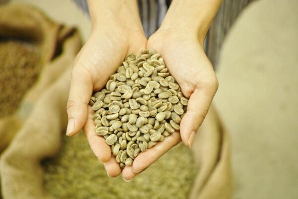 Instant Coffee Production and Processing Process