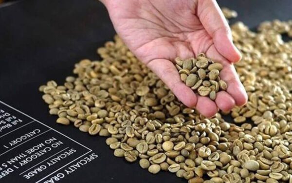 What is Coffee Bean Density?